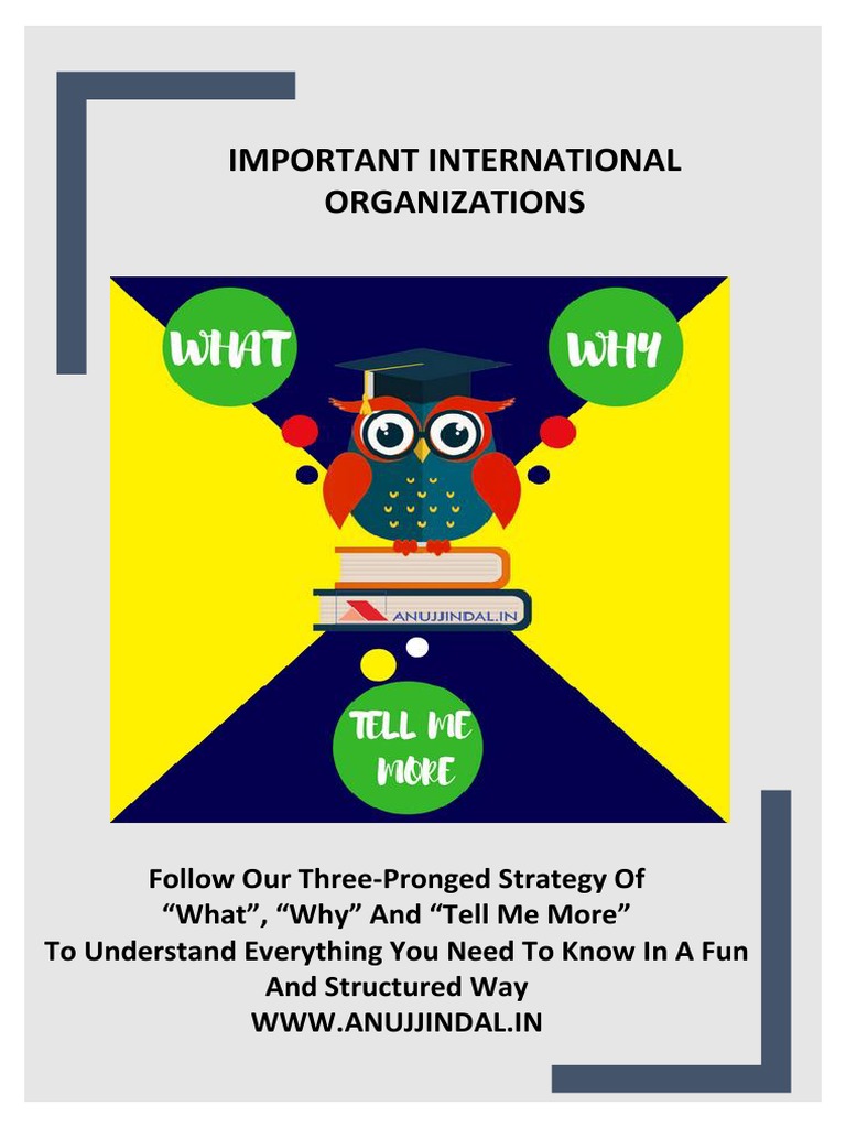 International Organization 2019 | PDF | Special Drawing Rights ...