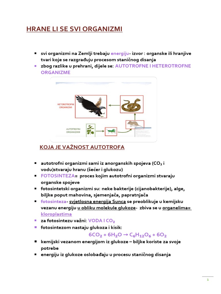 Organizmi Hrana | PDF