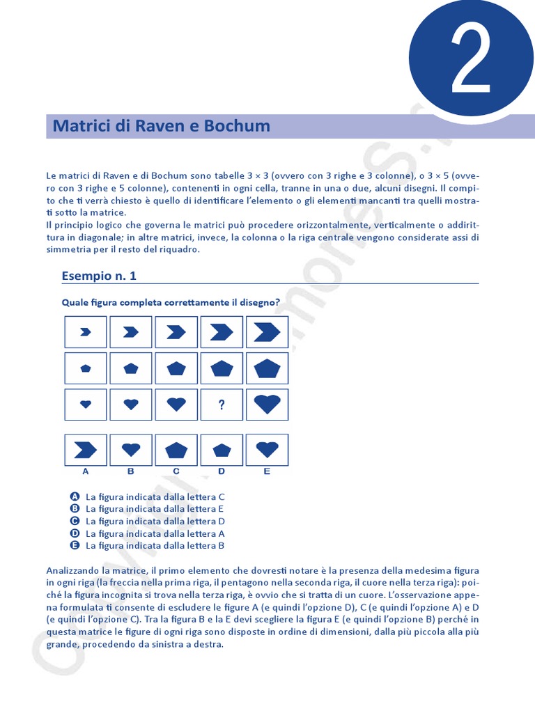 Matrici Di Raven e Bochum | PDF
