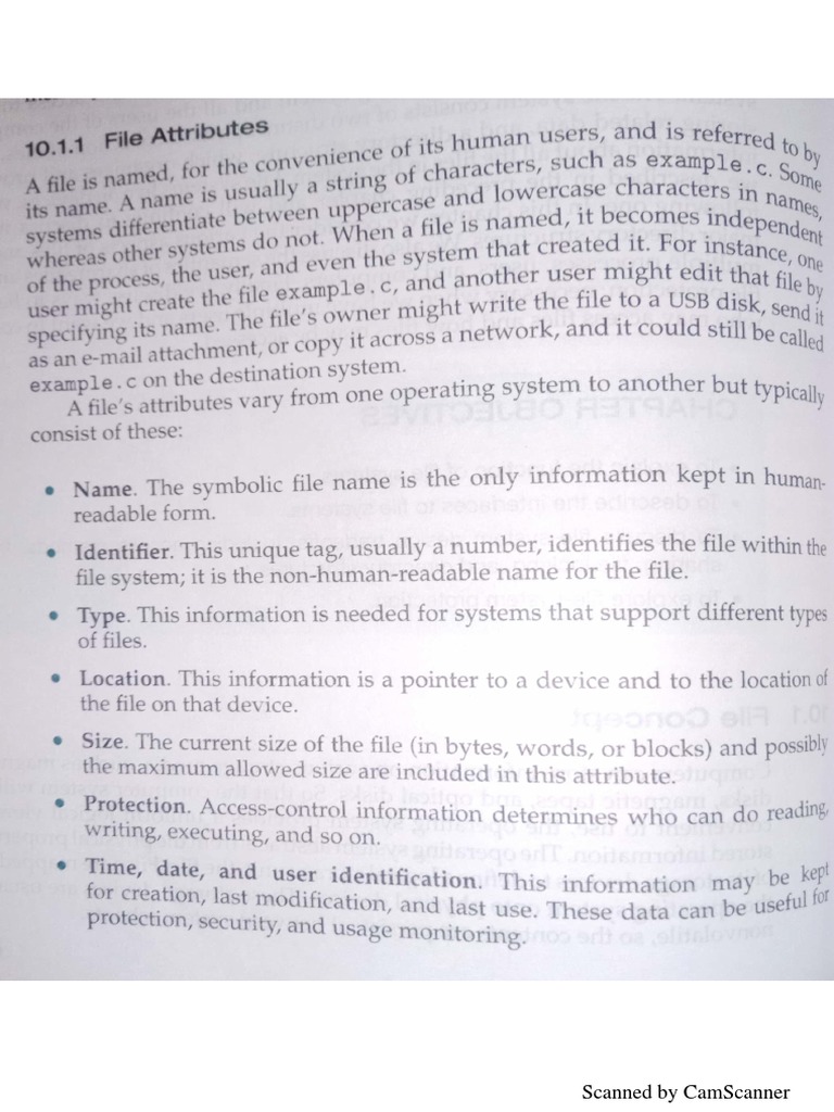 File Attributes | PDF