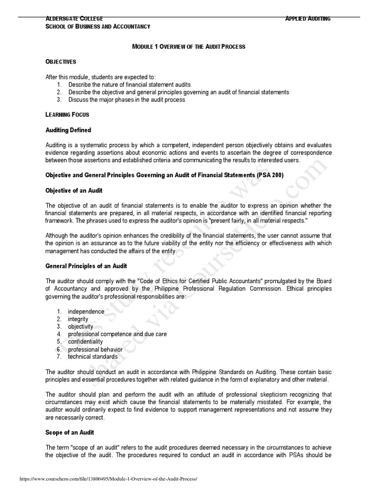 Module 1 Overview of The Audit Process | PDF | Financial Audit ...