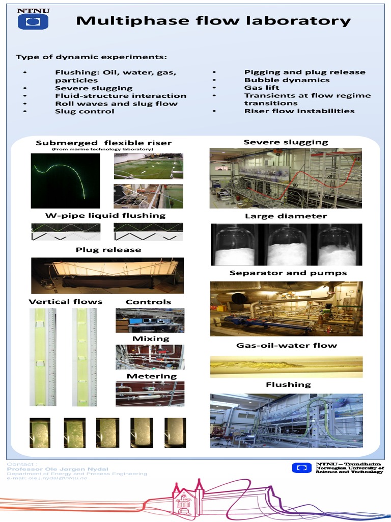 Multiphase Flow Laboratory: Severe Slugging Submerged Flexible Riser | PDF | Fluid Dynamics ...