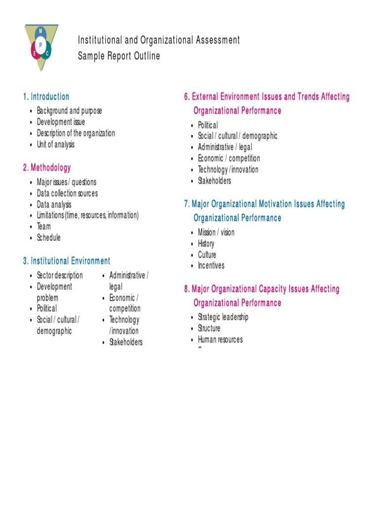 Institutional and Organizational Assessment Sample Report Outline | PDF