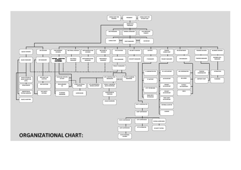 Company Organization Chart | PDF | Engineering | Business