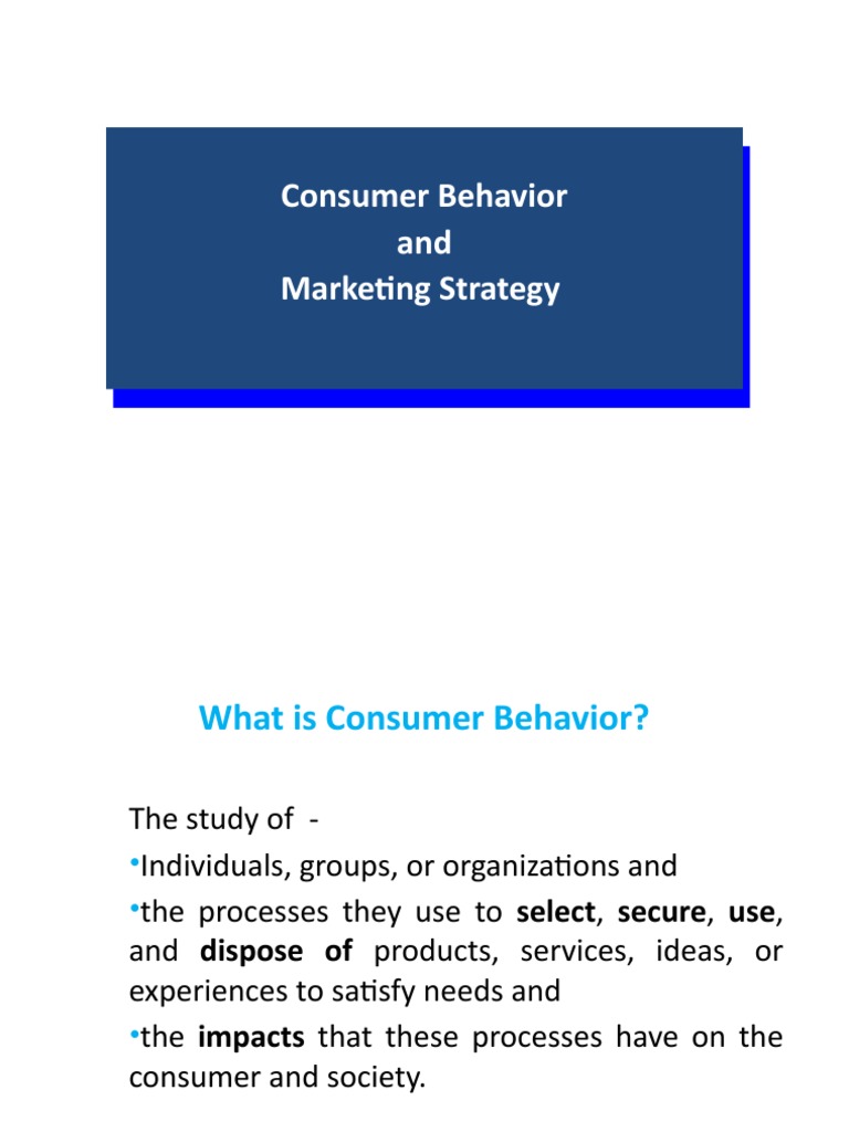 Consumer Behavior and Marketing Strategy | PDF