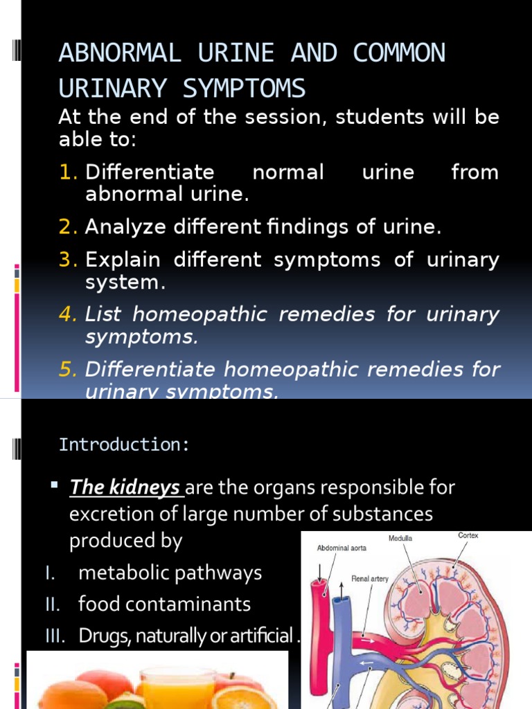Common Urine Symptoms | PDF | Urine | Kidney Disease