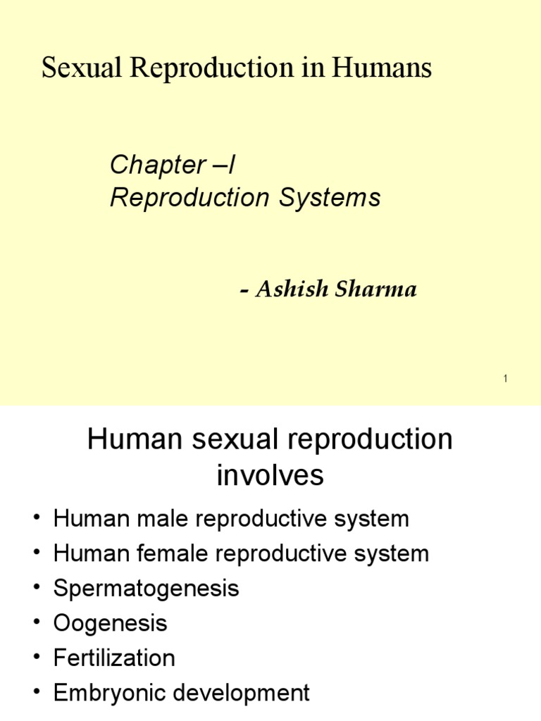 Sexual Reproduction in Humans: Chapter - I Reproduction Systems | PDF ...
