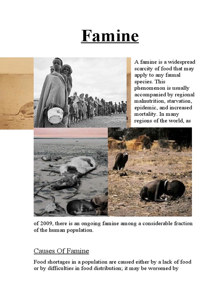 Causes of Famine | PDF | Famine | Food Security