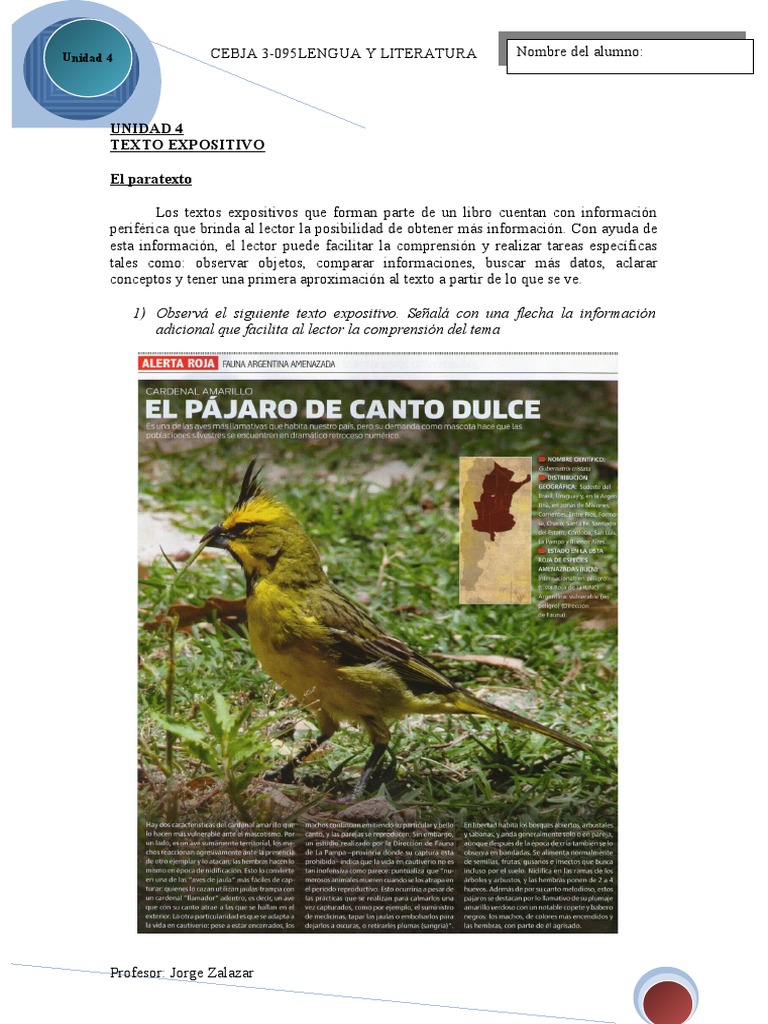 Unidad 4 | PDF | Información | Naturaleza