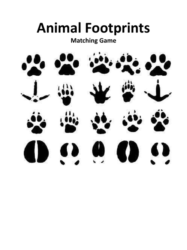 Animal Footprints Matching Game | PDF