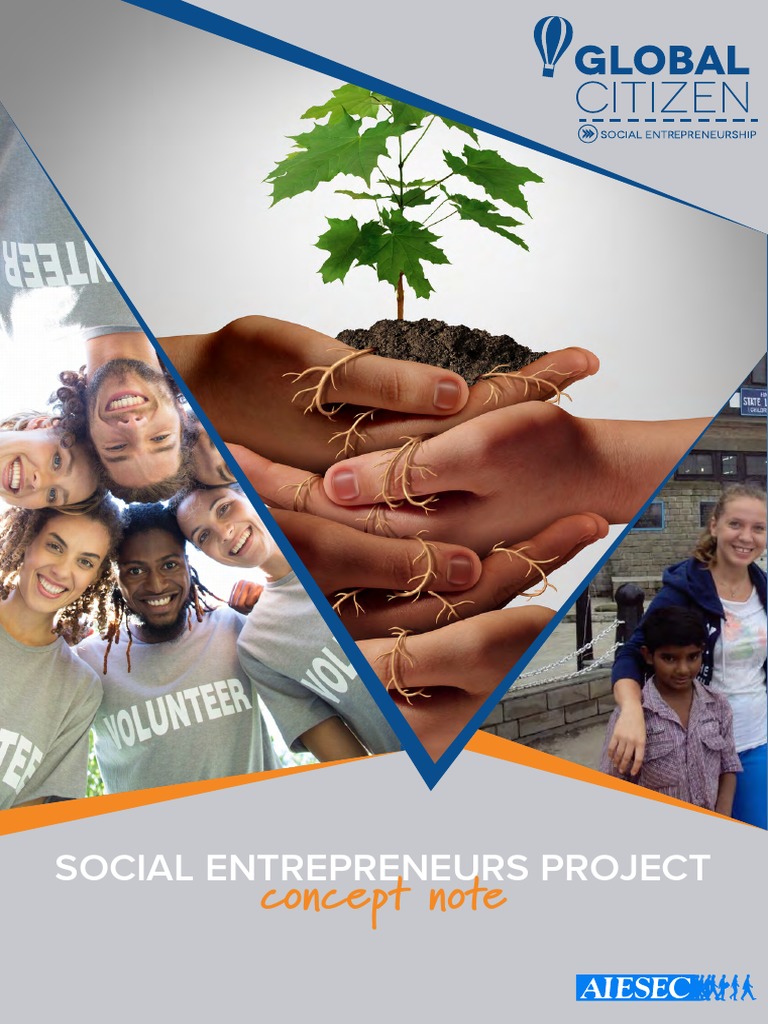 Social Entrepreneurship Project Overview | PDF | Social ...