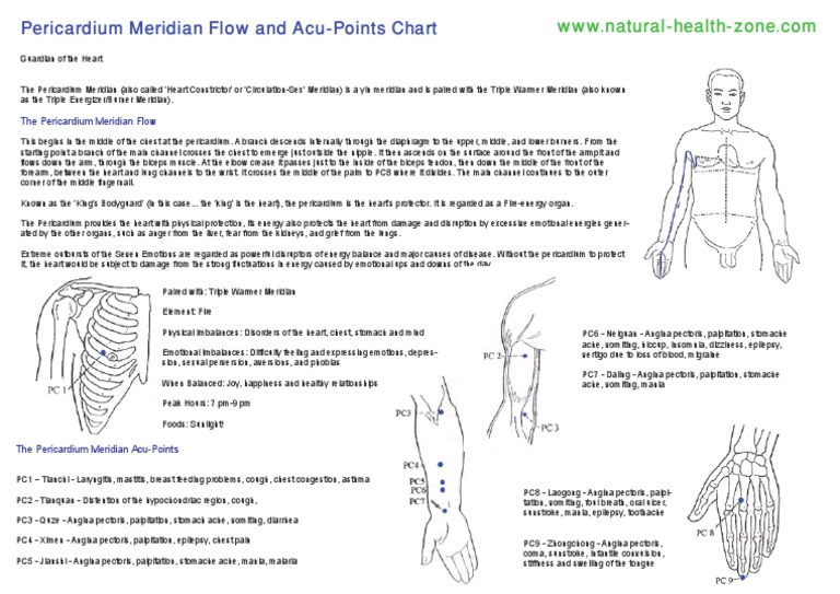 Pericardium Meridian PDF | PDF | Heart | Medical Specialties
