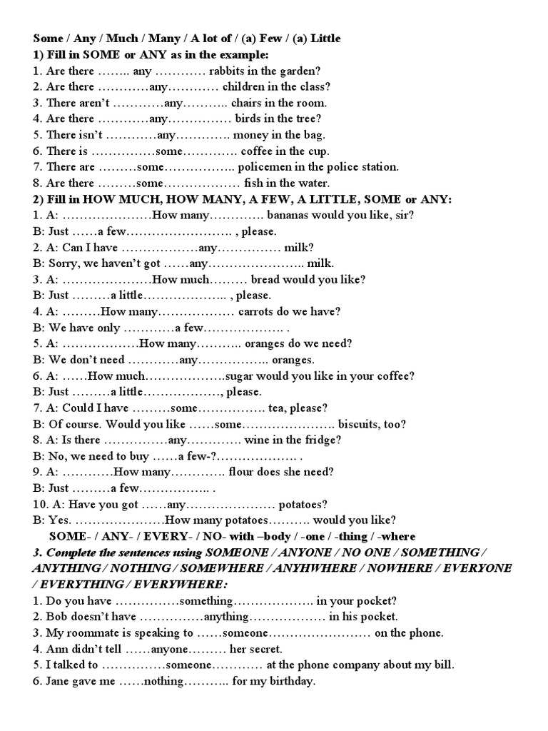 Some Any Much Many A Lot Of A Few A Little Exercises Pdf