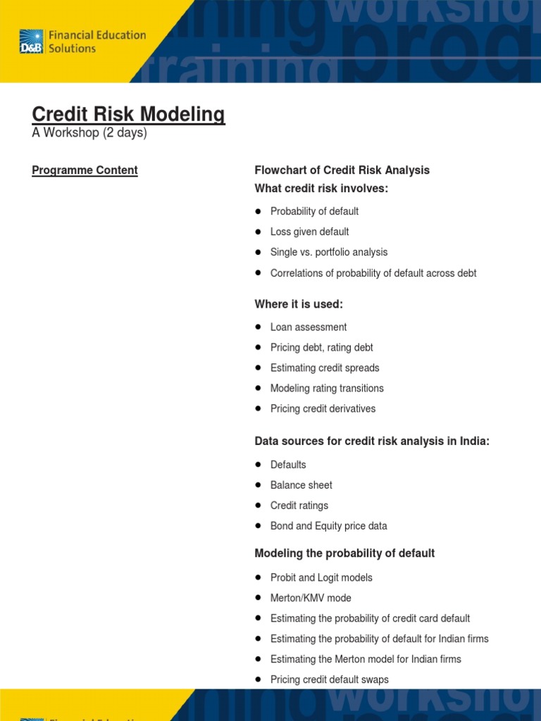 Credit Risk Modeling | PDF | Credit Risk | Equity (Finance)