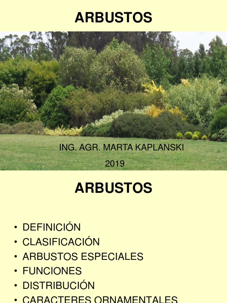 Guía Completa de Arbustos Ornamentales | PDF | Plantas | Plantas de jardín