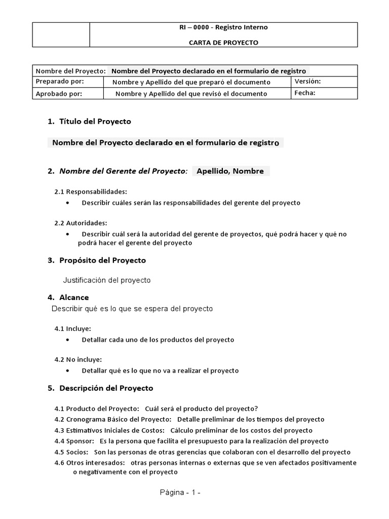 02.carta de Proyecto - Project Charter | PDF | Economias | Business