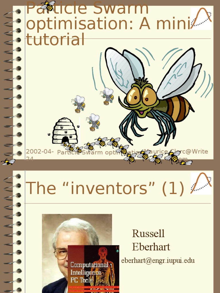 Pso Mini Tutorial Pdf Numerical Analysis Computer Programming