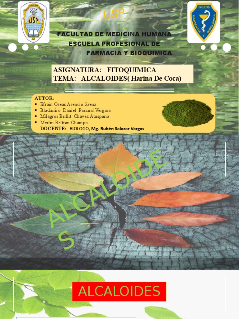 Harina de Coca Point (Fitoquimica) | PDF | Cocaína | Alcaloide