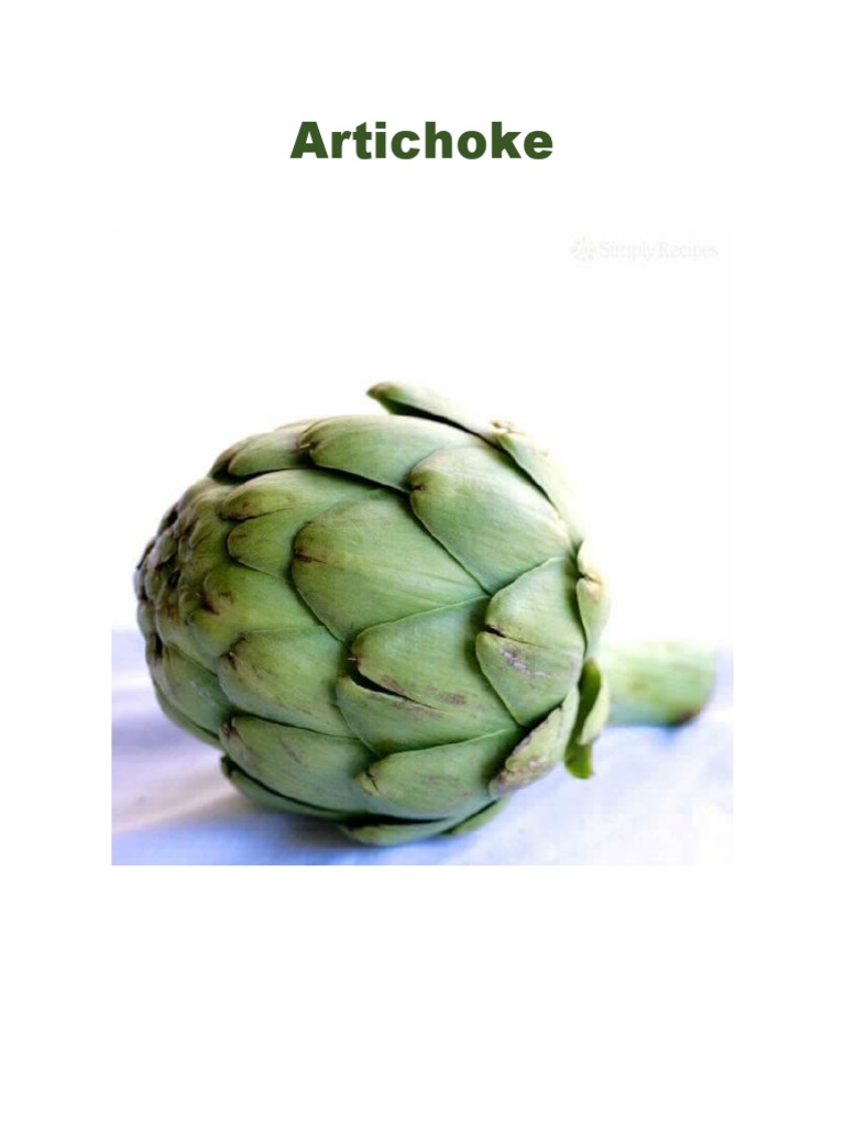 Artichoke | PDF | Artichoke | Plants