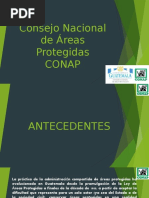 Qué Es El CONAP | PDF