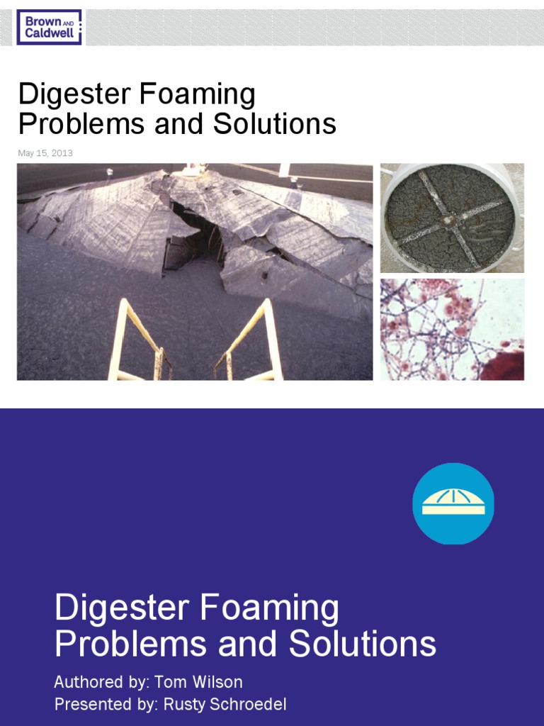Digester Foaming Solutions | PDF | Anaerobic Digestion | Foam