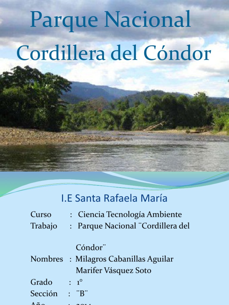 Parque Nacional de L Condor | PDF | Ecuador | Perú