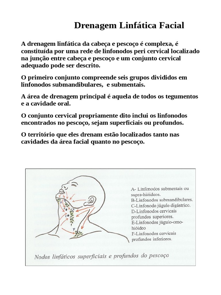 Drenagem Linfática Facial e Linfonodos | PDF | Sistema linfático | Nervo