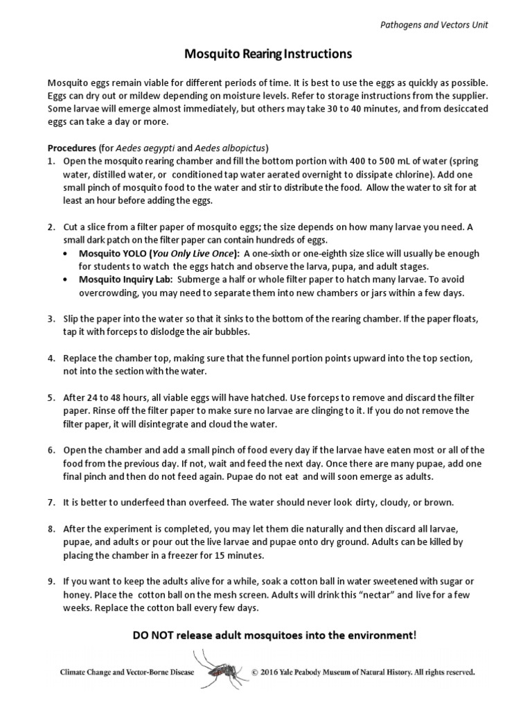 Mosquito Rearing Instructions PDF | PDF | Mosquito | Insects
