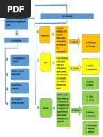 Mapa Conceptual Gasto Publico Hernan Colmenarez | PDF | Presupuesto | Economias
