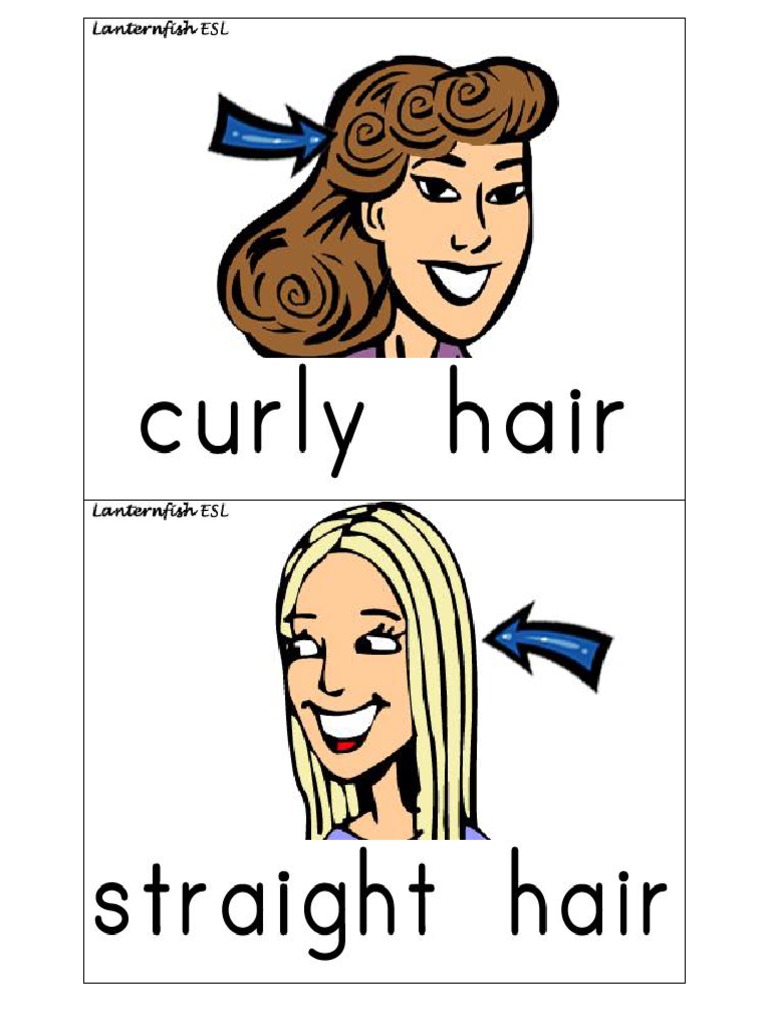 Hair Style Flashcards | PDF