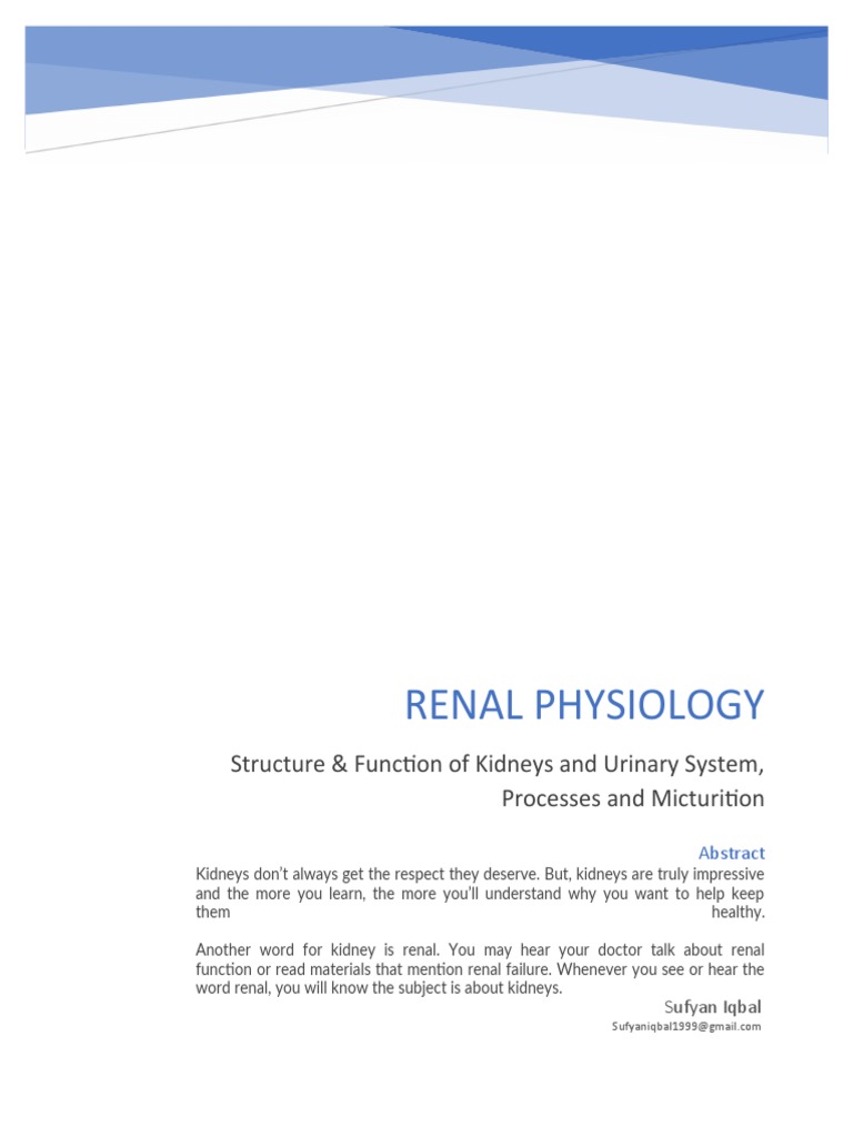 Renal Physiology: Structure & Function of Kidneys and Urinary System ...