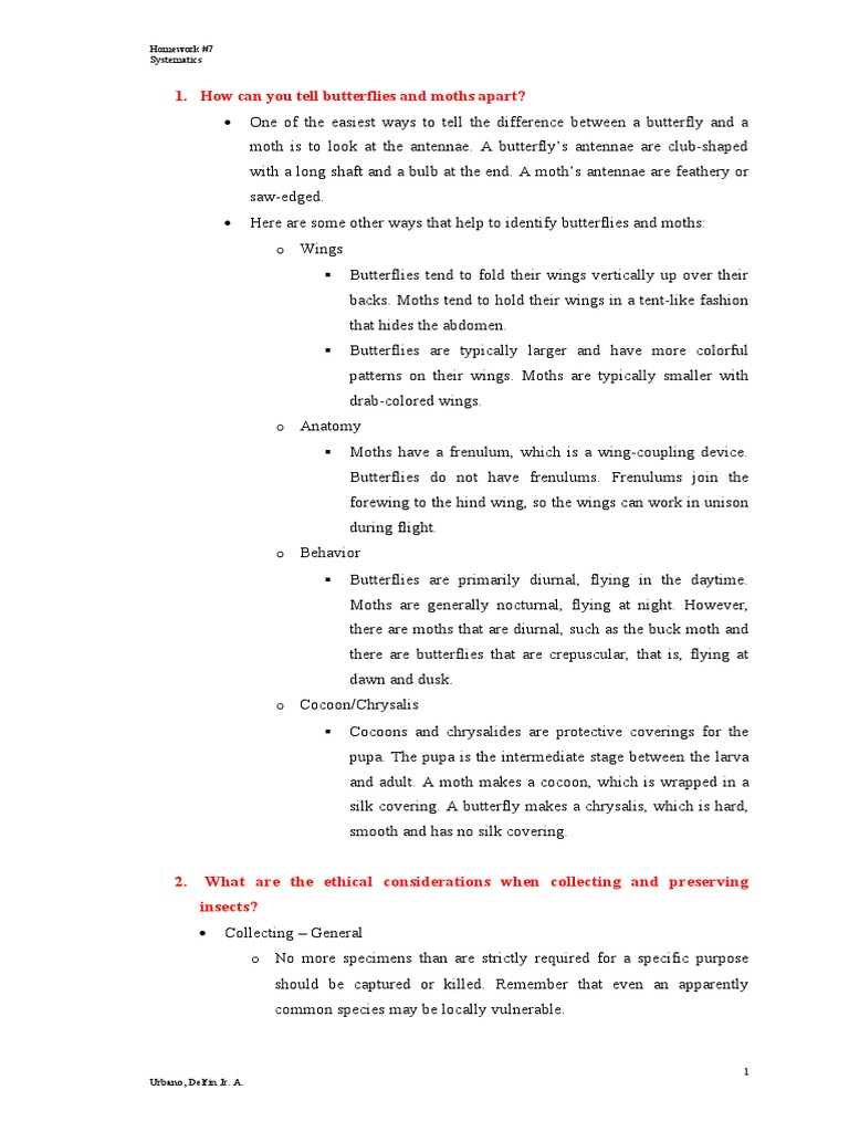 Butterfly vs Moth Identification Guide | PDF | Pupa | Moth