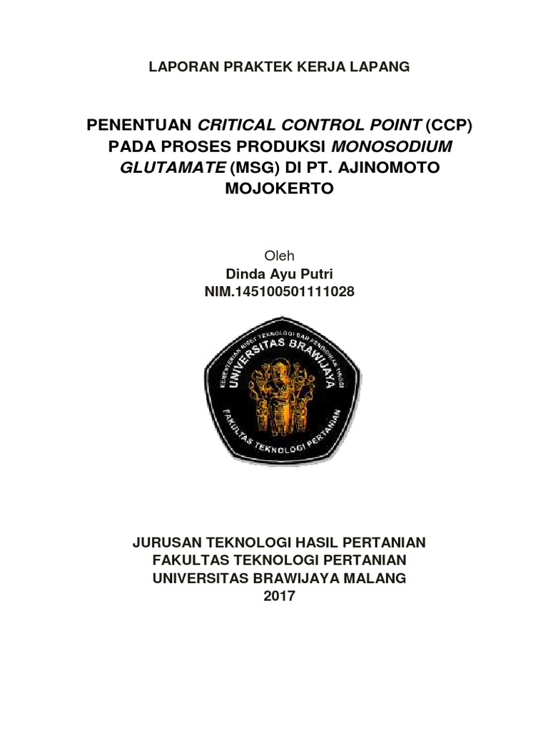 Penentuan CCP dalam Produksi MSG | PDF | Komputer