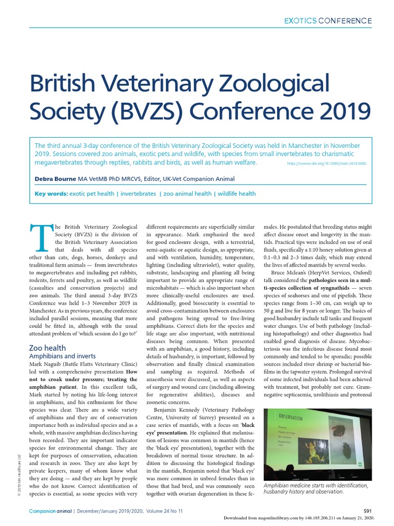 EEHV Tugas Pak Arman PDF | PDF | Infection | Organisms