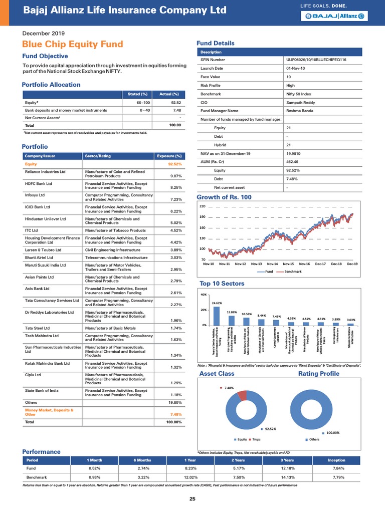 Blue Chip Equity Fund: Portfolio Allocation | PDF | Investment ...