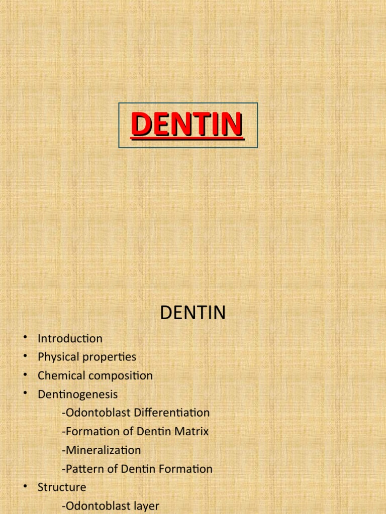 Dentin | PDF | Dentin | Tooth Enamel