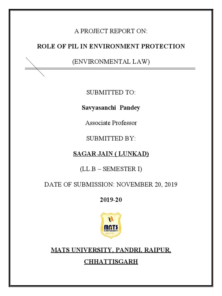 Role of Pil in Environment Protection: A Project Report On | PDF ...