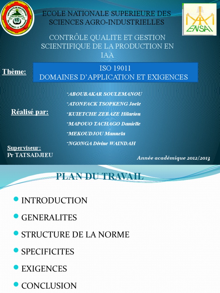 Iso 19011 | PDF | Audit | Organisation internationale de normalisation