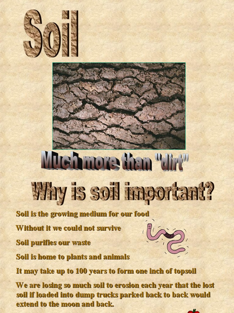 Soil - PPT Level One | PDF | Soil | Sustainable Gardening
