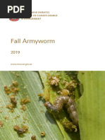 Fall Armyworm Identification Presentation | PDF | Insects | Pest (Organism)