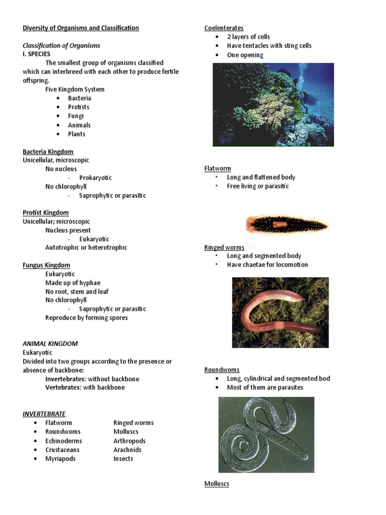 Bio Handouts 20 Diversity of Organisms and Classification | PDF ...