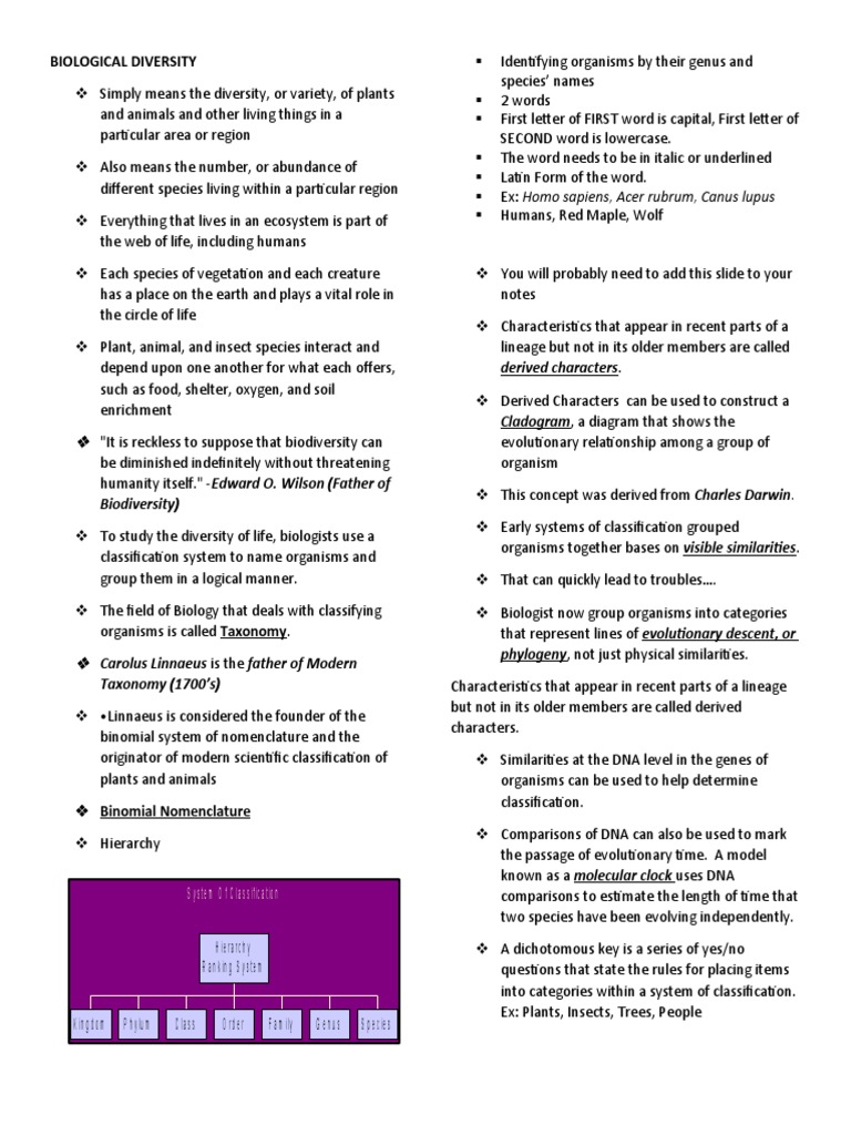 Biological Diversity: Derived Characters | PDF | Taxonomy (Biology ...