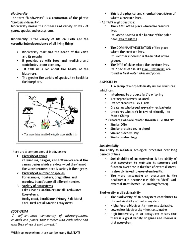 Understanding Biodiversity and Sustainability | PDF | Biodiversity ...