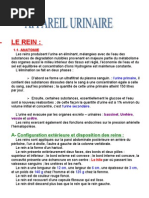 Anatomie des reins et leur vascularisation | PDF | Rein | Foie