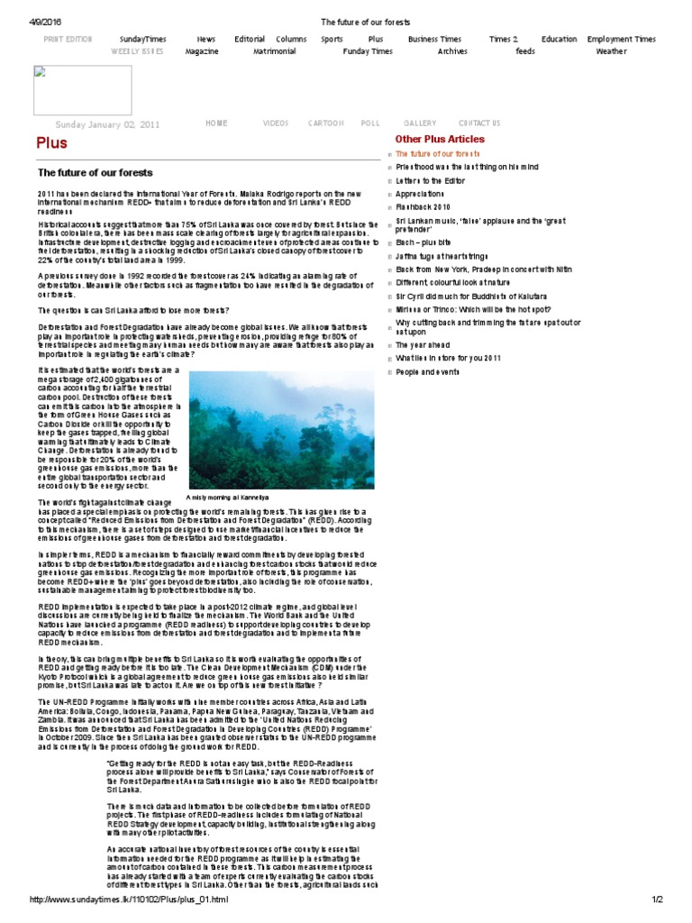 The Future of Our Forests | PDF | Reducing Emissions From Deforestation ...