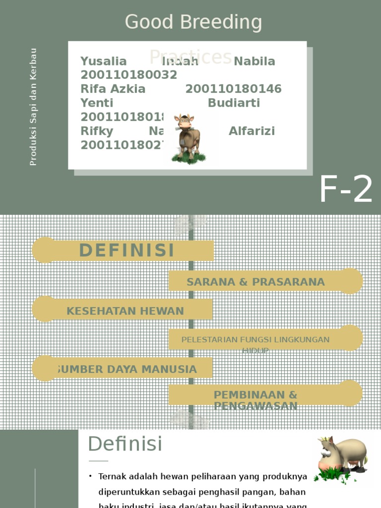 Kelompok 2 - F - Good Breeding Practices - Produksi Sapi Dan Kerbau | PDF