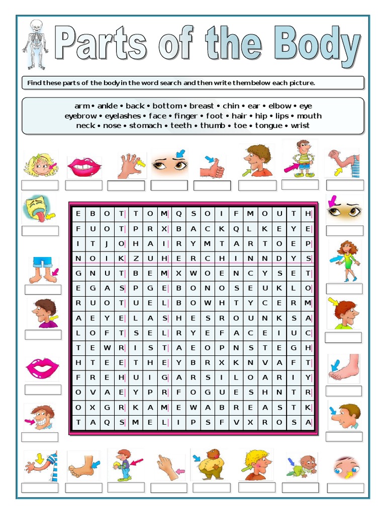 Parts of The Body Wordsearch | PDF