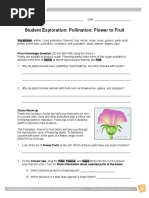 Labeled Flower Parts Worksheet | PDF | Flowers | Pollination