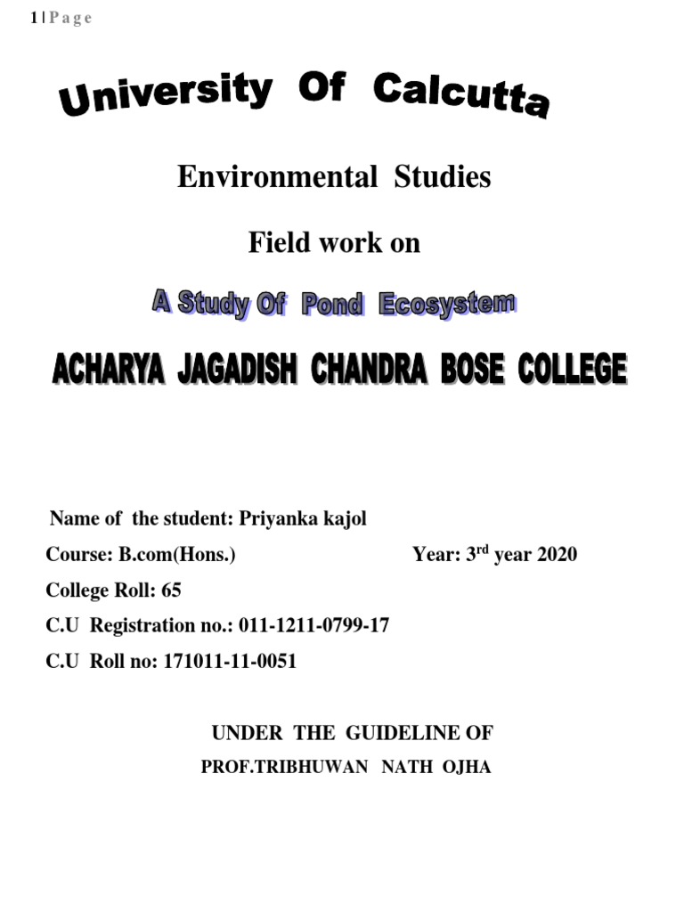 Pond Ecosystem Study Project Report | PDF | Pond | Aquatic Ecosystem