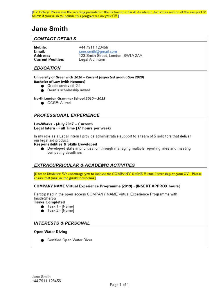 Template CV Guidelines | PDF